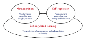 Metacognition | Leamington Community Primary School